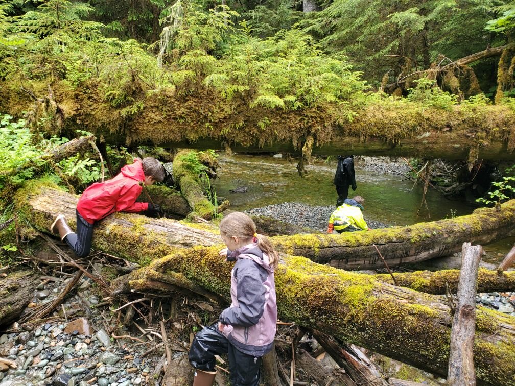 Outdoor Explorers Summer Camp 2021 – Discovery Southeast